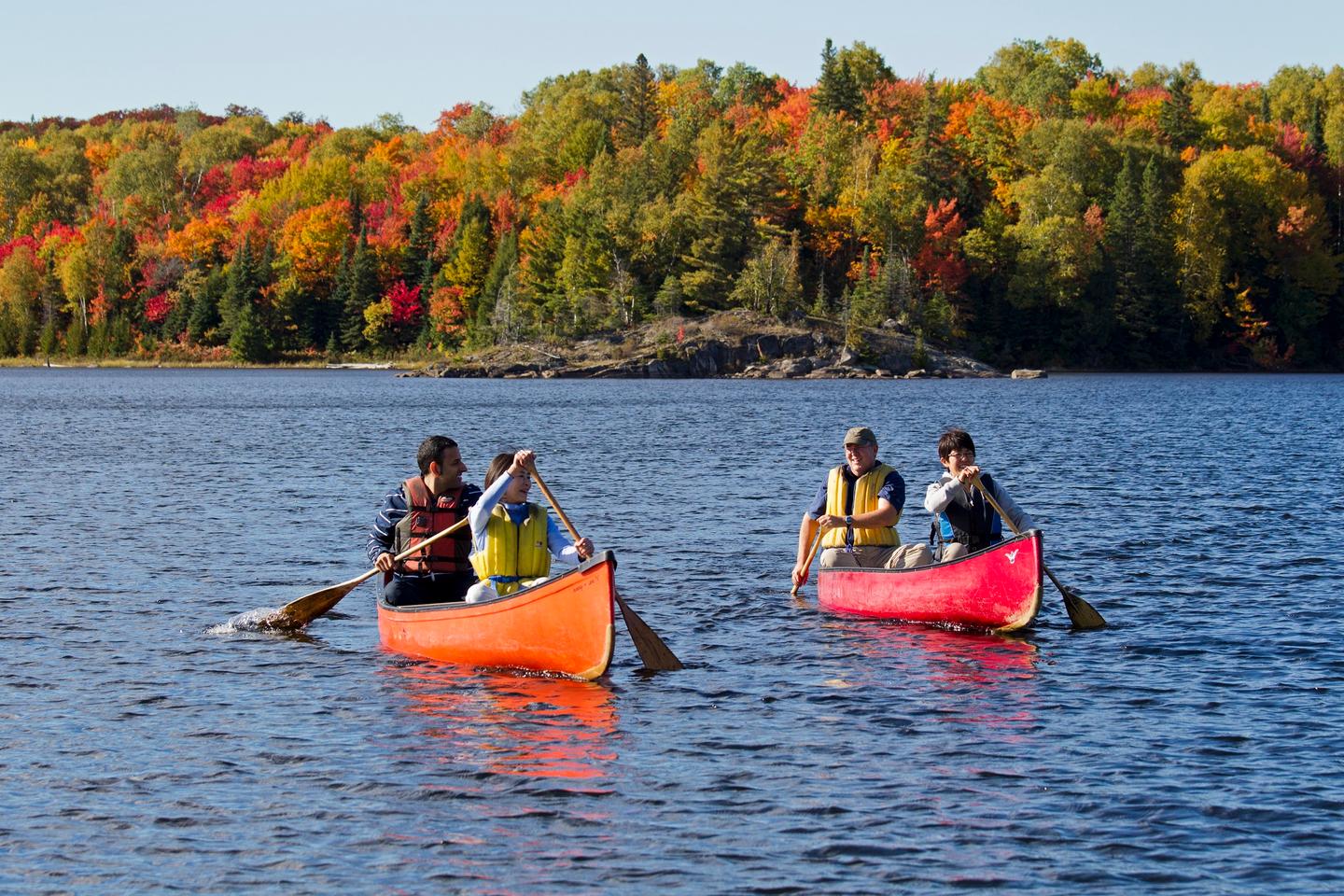 10 must-have cultural experiences in Toronto | Destination Canada