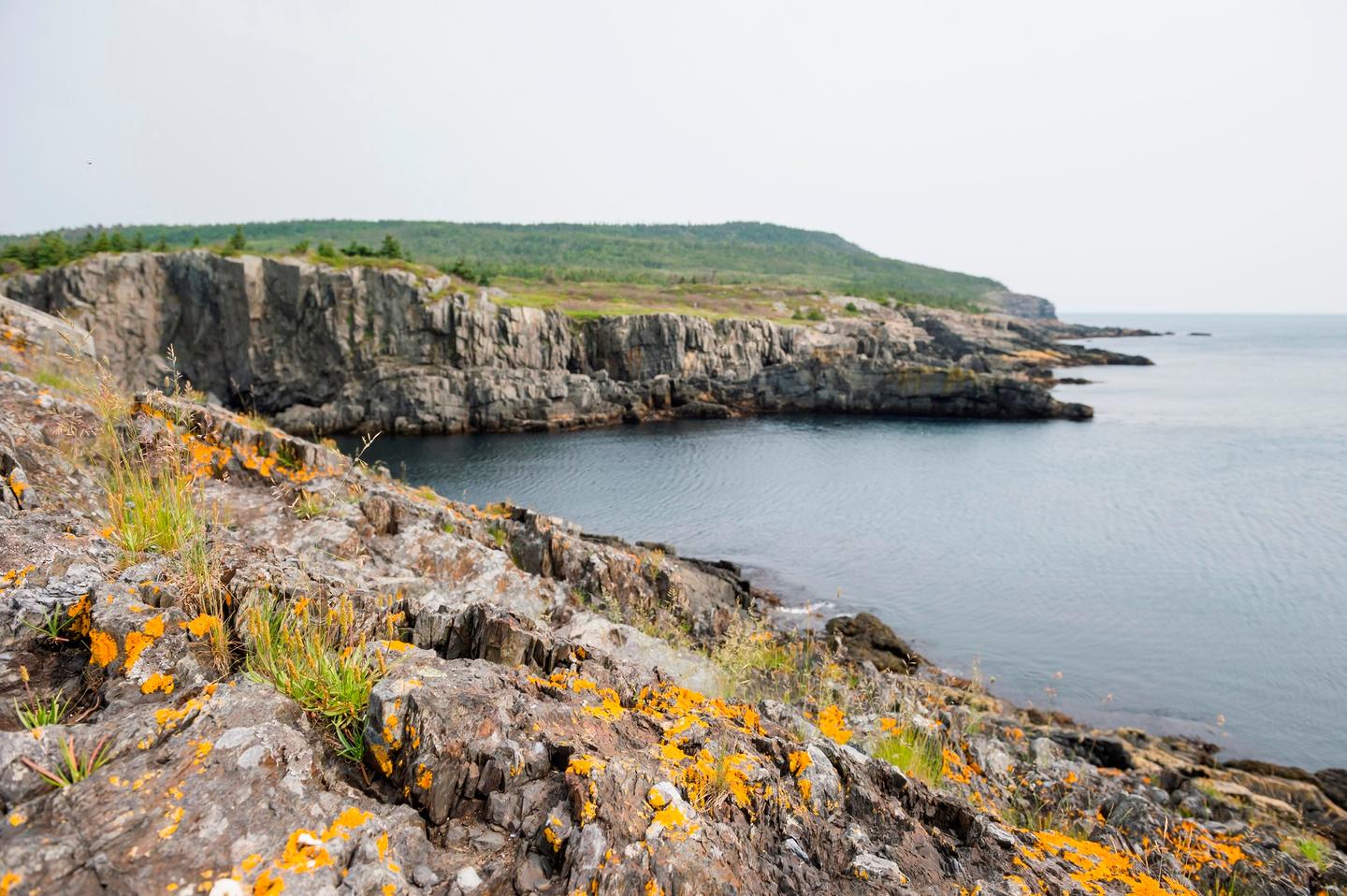 The top 10 attractions in Newfoundland and Labrador | Destination Canada