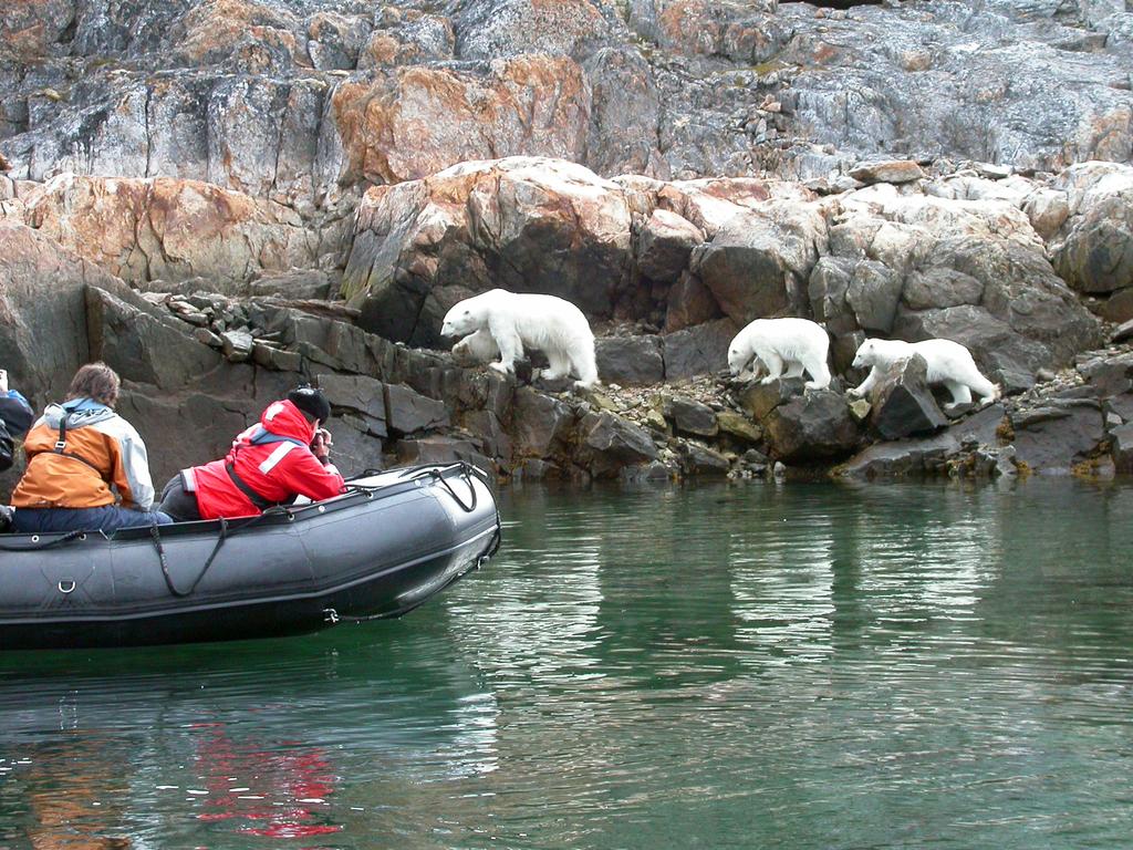 Be awed on a polar bear safari in Nunavut | Destination Canada