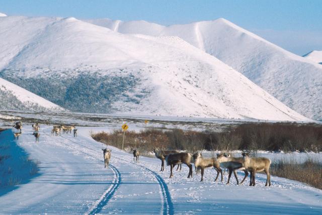 The top 10 attractions in the Northwest Territories | Destination Canada